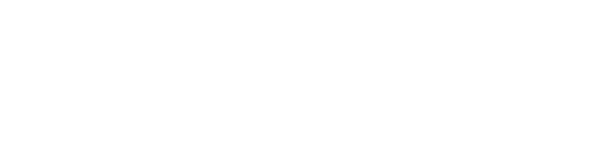 Accounting – Wizard Solutions