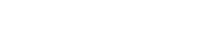 Accounting – Wizard Solutions