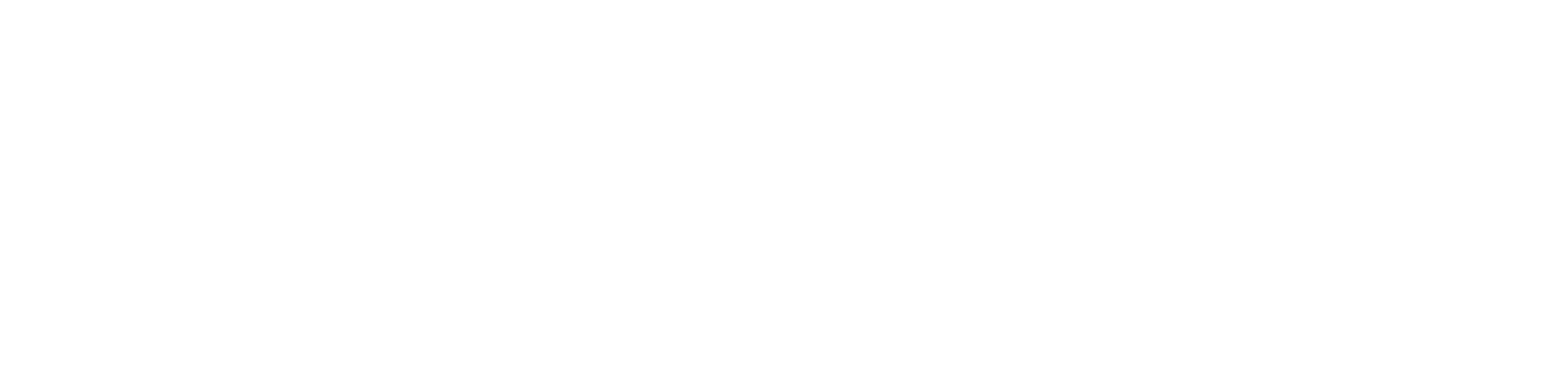 Accounting – Wizard Solutions