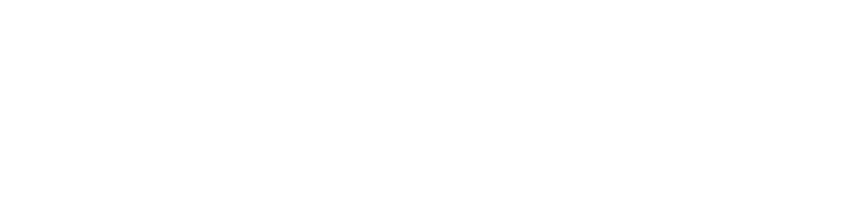 Accounting – Wizard Solutions