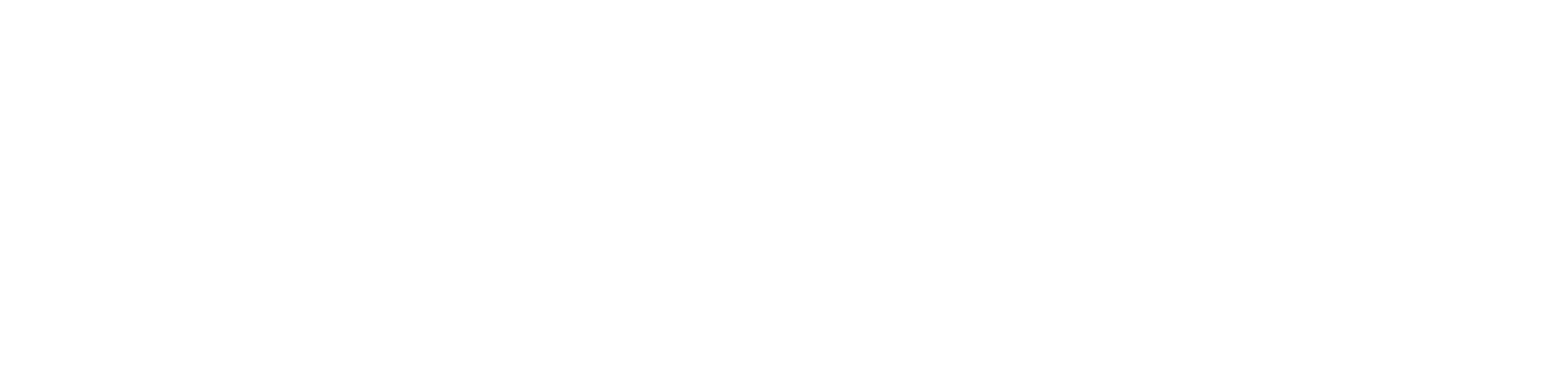 Accounting – Wizard Solutions