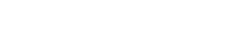 Accounting – Wizard Solutions